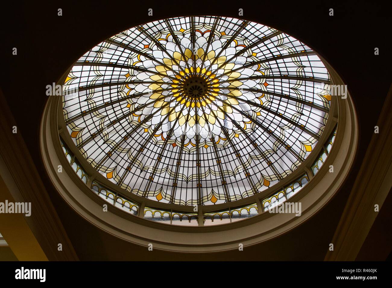 Library glazed dome hi-res stock photography and images - Alamy