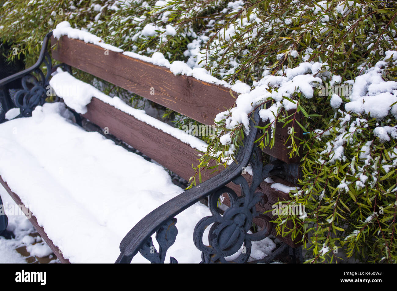 snow-covered benches, branches and trees in the city park, winter ...