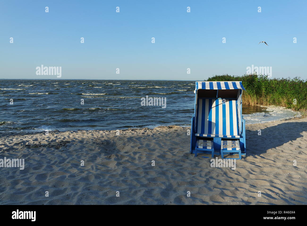 Stettiner haff beach hi-res stock photography and images - Alamy