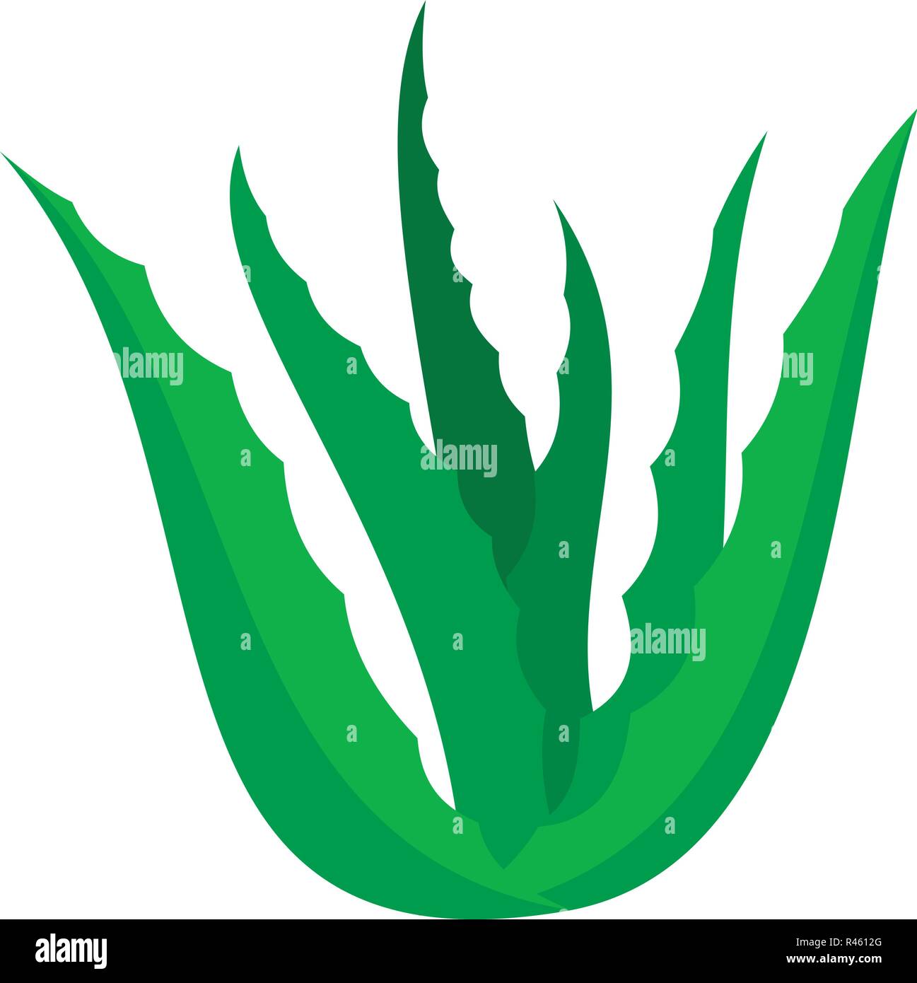 Green aloe vera icon. Flat illustration of green aloe vera vector icon ...