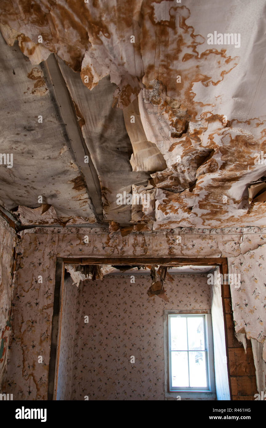 Peeling wallpaper hi-res stock photography and images - Alamy Peeling wallpaper hi-res stock photography and images - Alamy