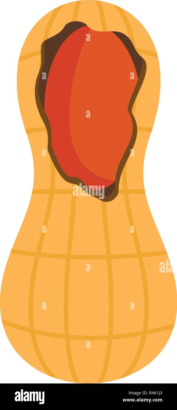 Crack peanut icon. Flat illustration of crack peanut vector icon for ...