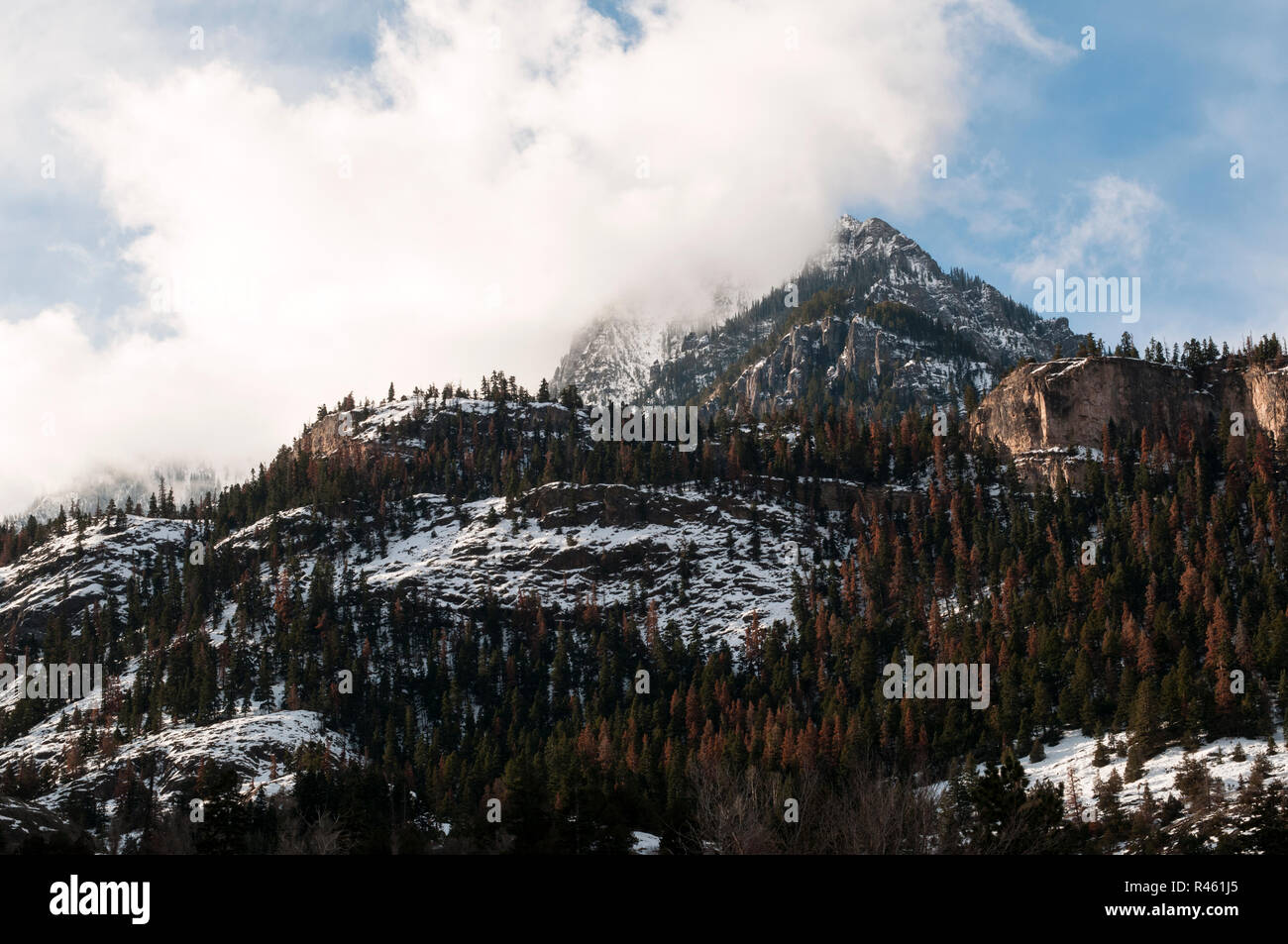 Ouray, colorado winter hi-res stock photography and images - Alamy