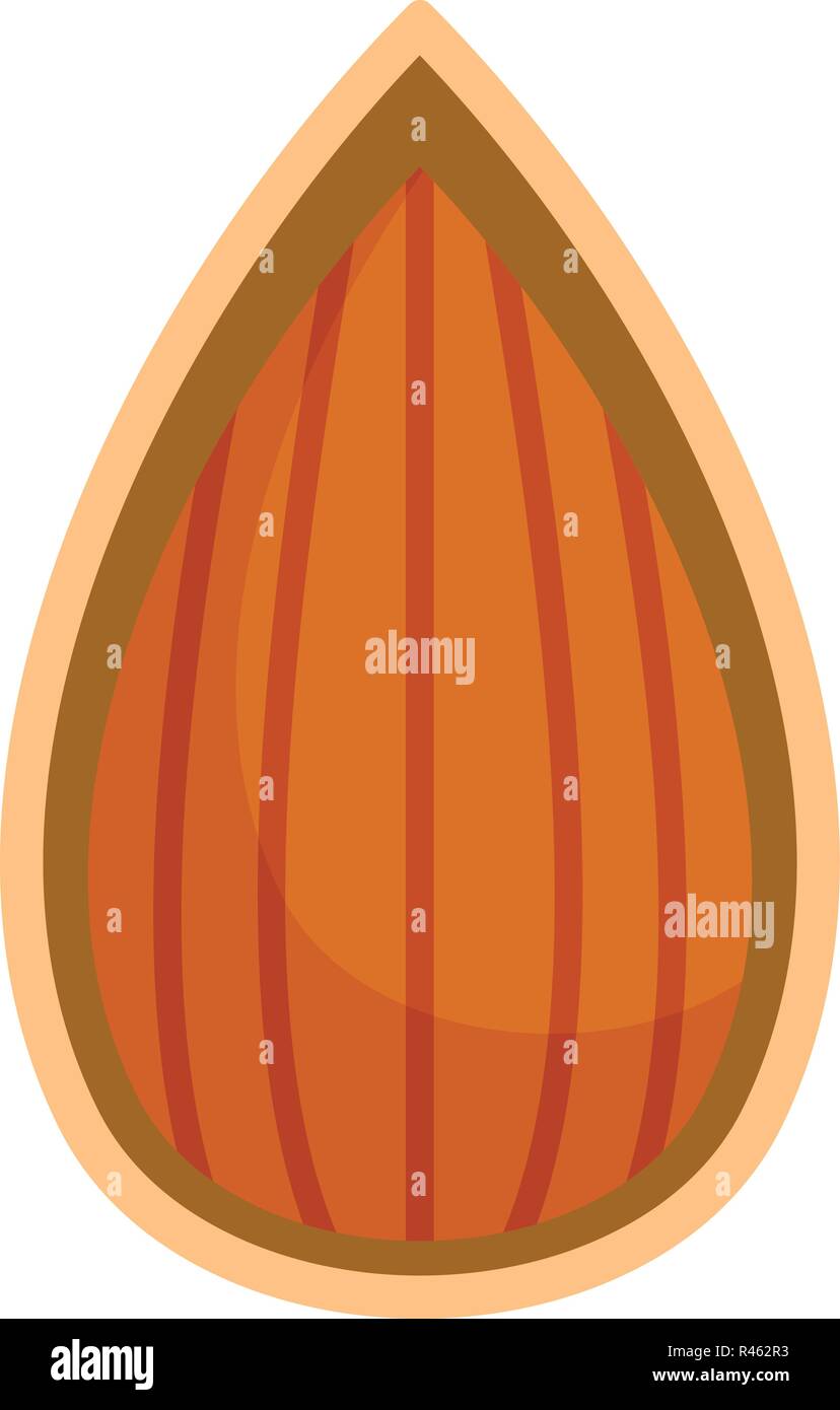 Almond in shell on white background background Stock Vector Images - Alamy