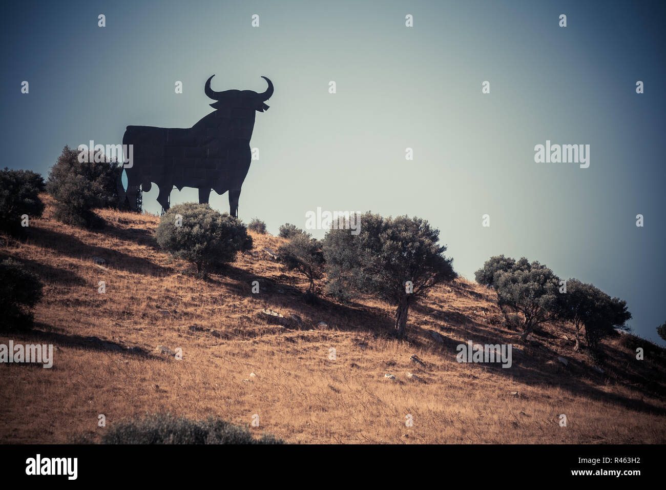 Bull-shaped billboard in Spain Stock Photo - Alamy