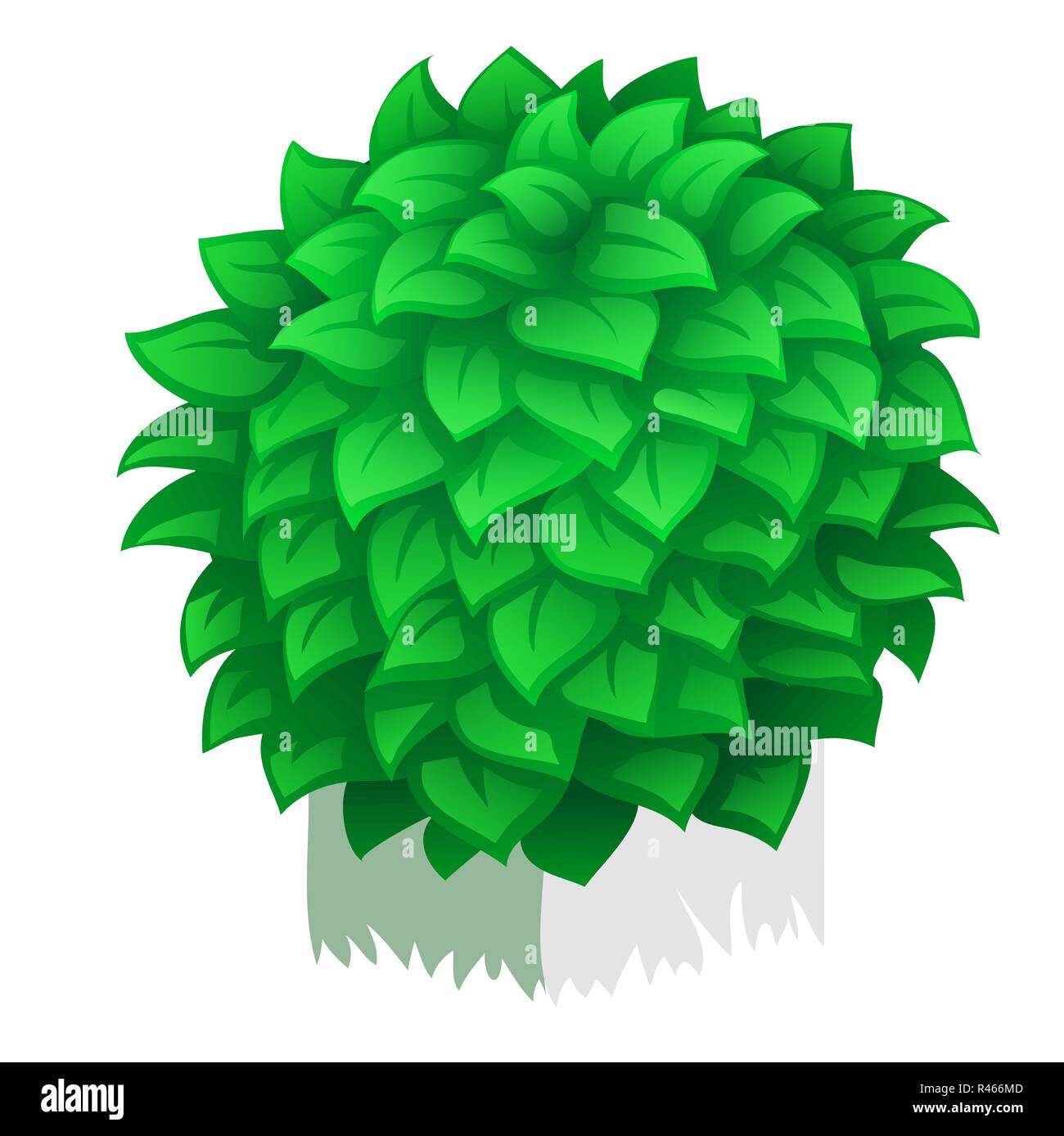 Compact rounded shrub isolated on white background. Vector cartoon ...