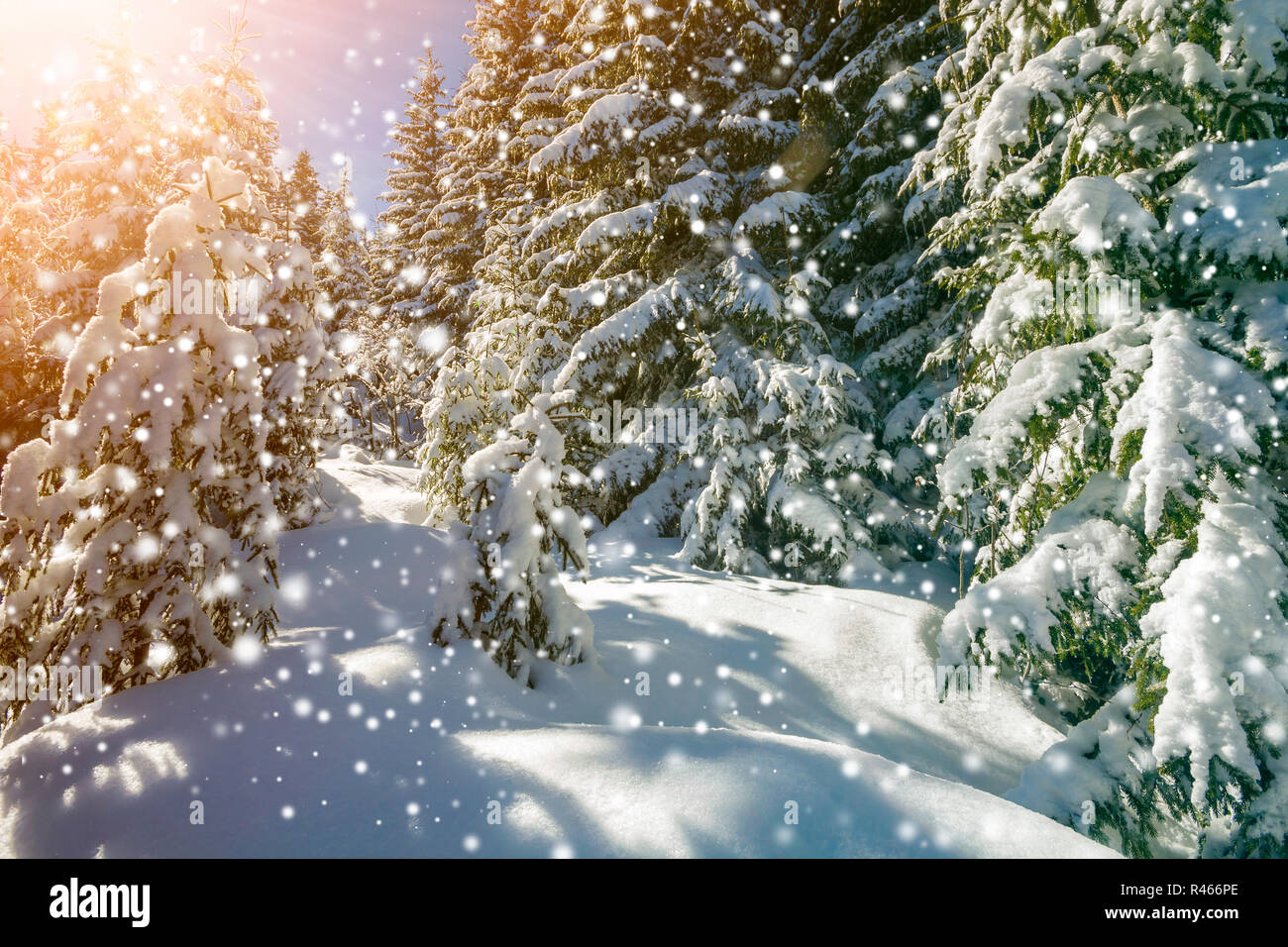 Snow falling on lit christmas hi-res stock photography and images - Alamy