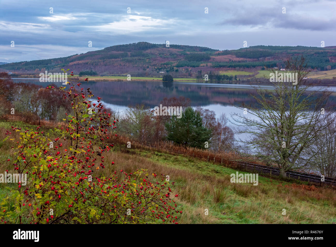 Carbisdale castle hi-res stock photography and images - Alamy
