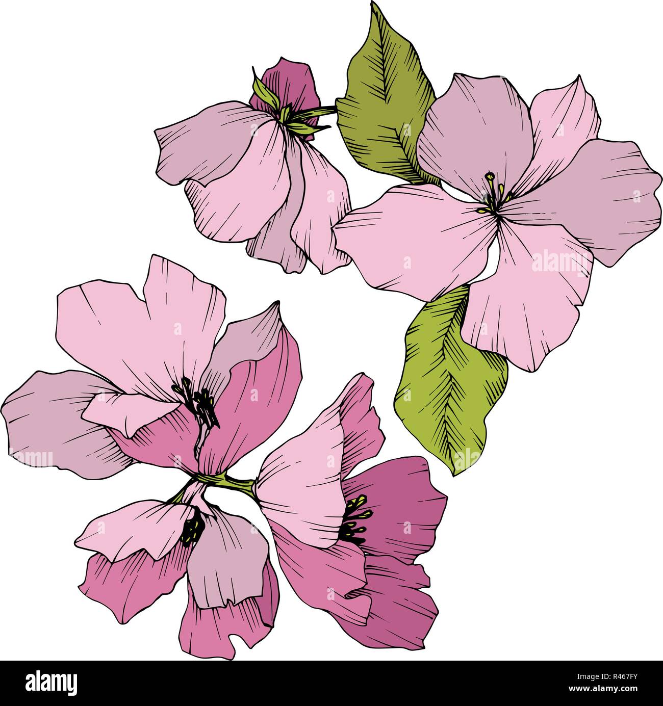 Appe Cut Out Stock Images & Pictures - Alamy