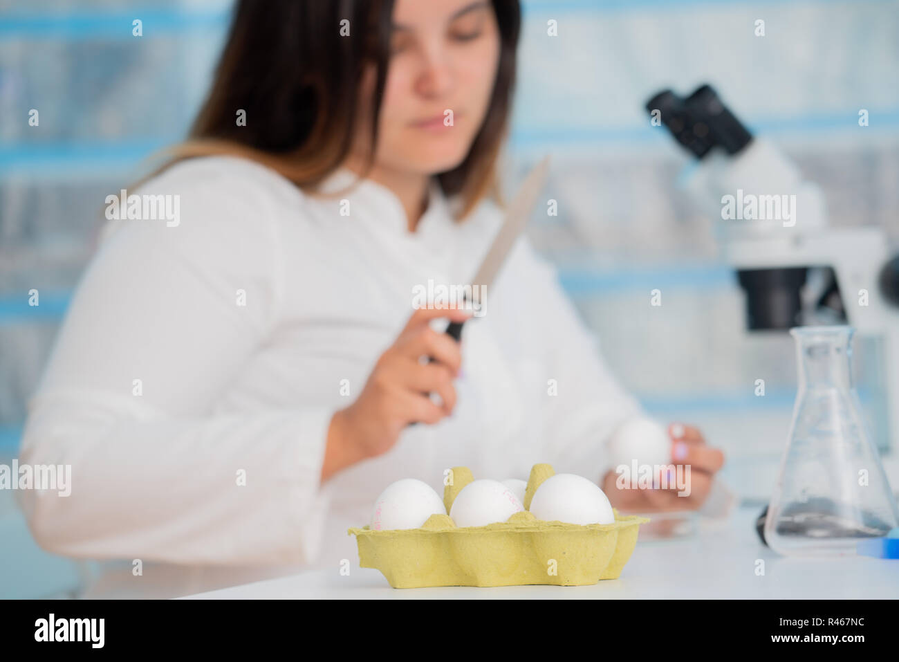 Egg inspection hi-res stock photography and images - Alamy