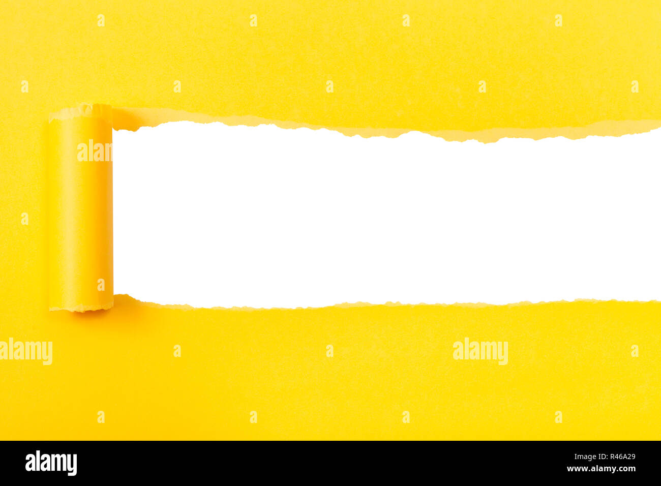yellow rolled-up torn paper on white isolated Stock Photo - Alamy