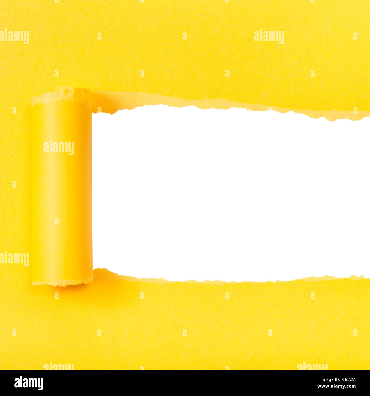 yellow rolled-up torn paper on square background Stock Photo - Alamy