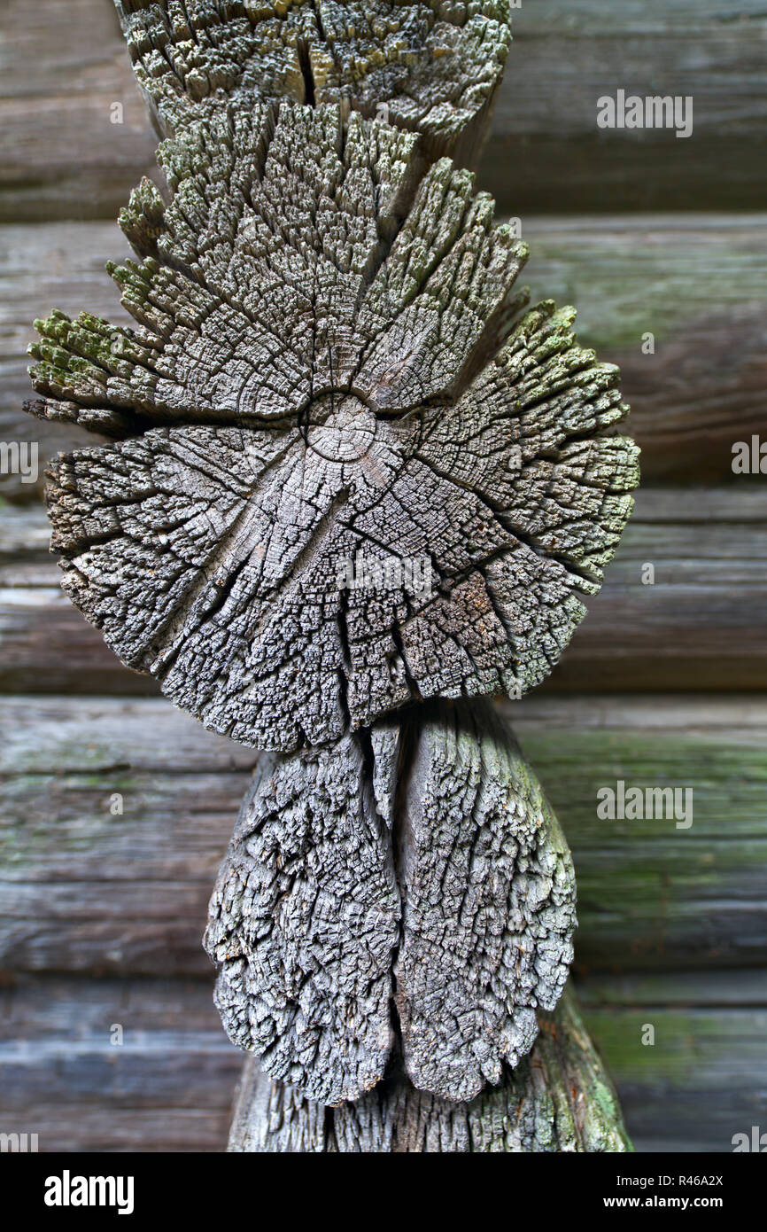 Texture sawing the old logs with cracks and growth rings, old wood ...