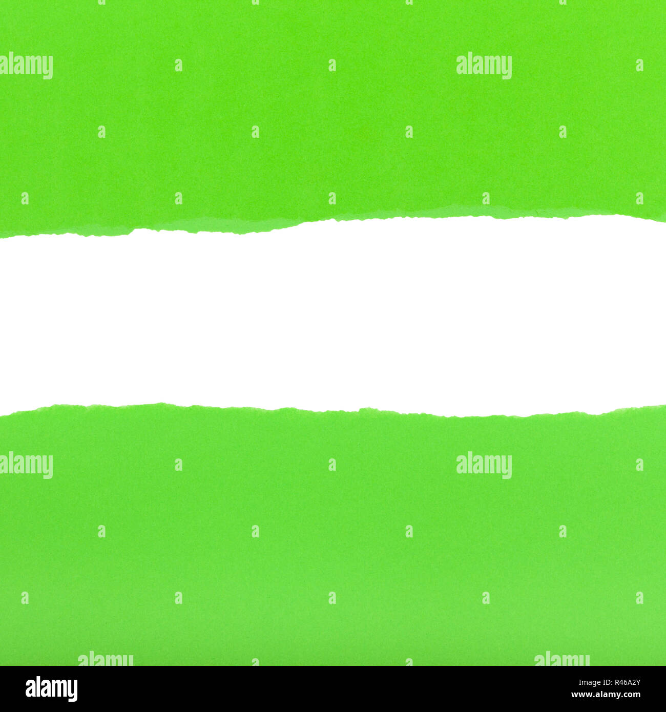 splitted halves of the sheet of green ripped paper Stock Photo - Alamy