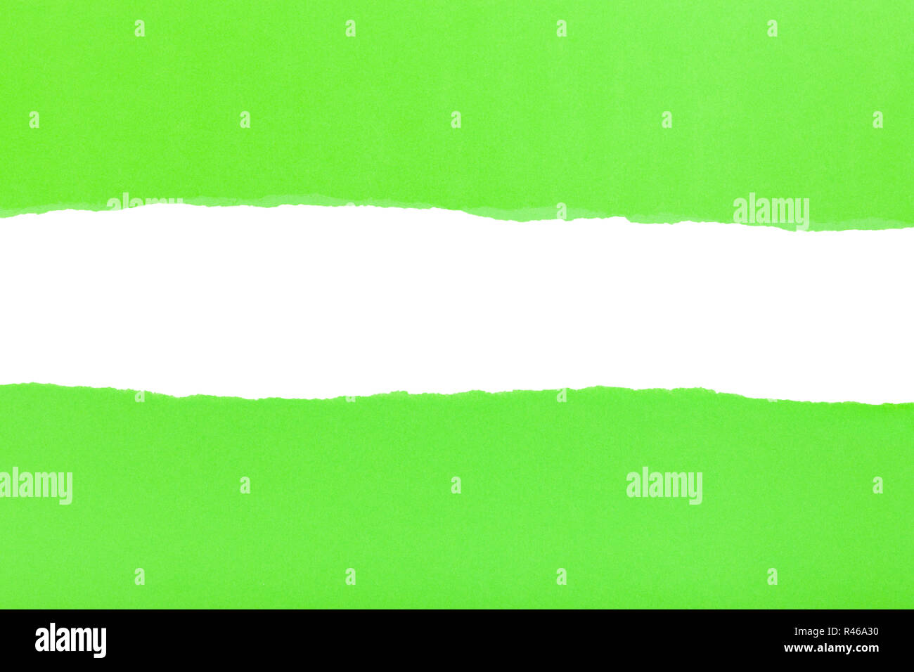divided halves of the sheet of green ripped paper Stock Photo - Alamy