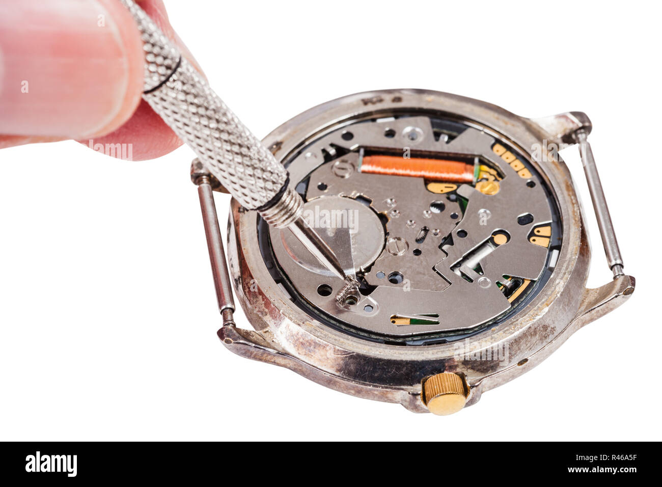 repairer replaces battery in quartz watch isolated Stock Photo - Alamy
