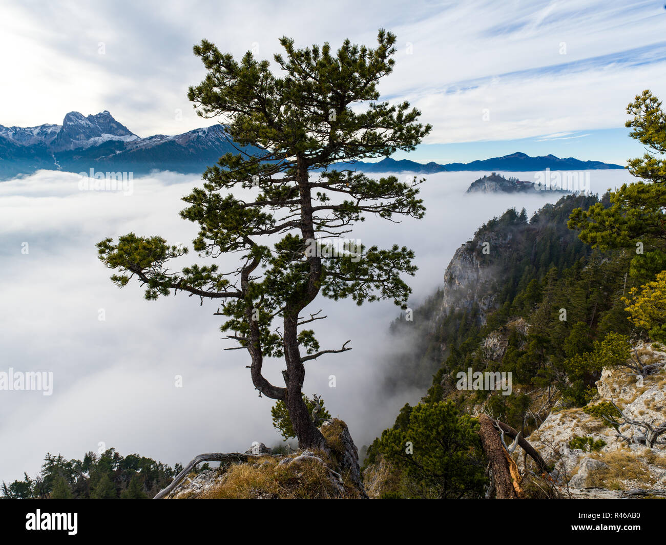Fog lake mountain trees hi-res stock photography and images - Alamy