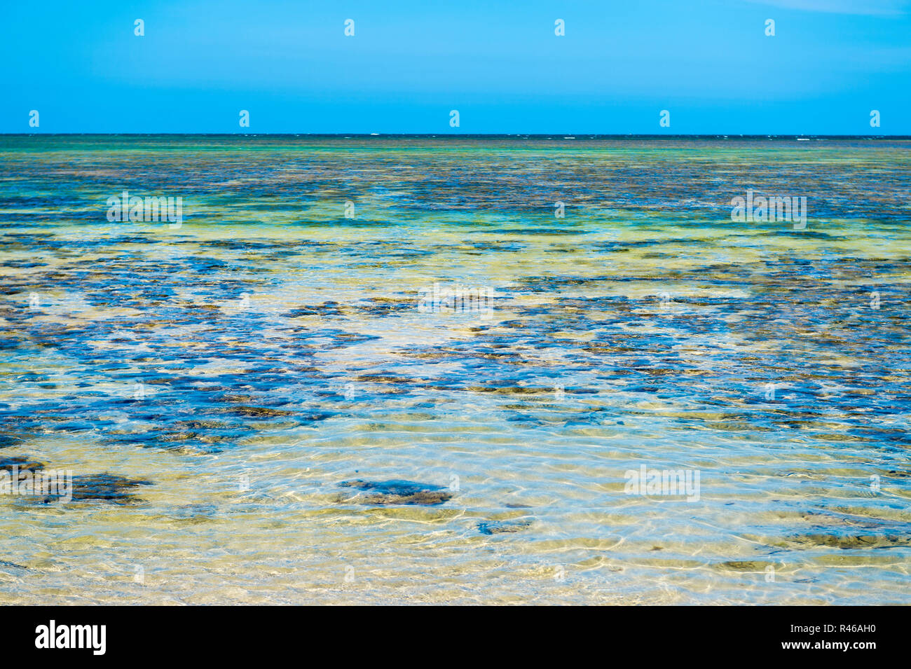 Bright scenic tropical background of warm, shallow blue-green waters of ...
