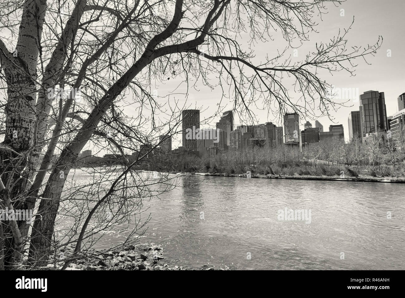 Calgary vista hi-res stock photography and images - Alamy