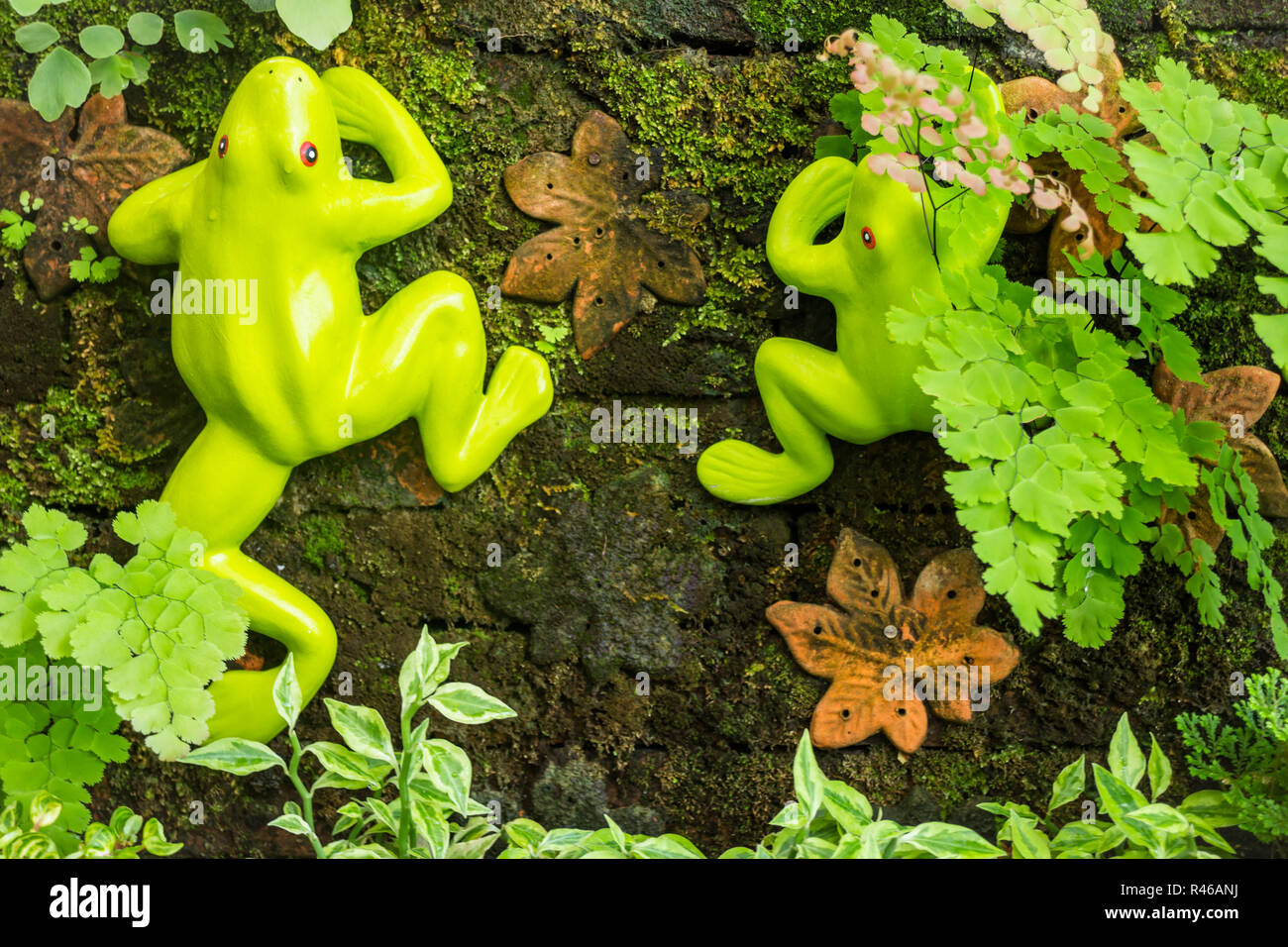 Minimal garden with variety tropical plant Stock Photo - Alamy