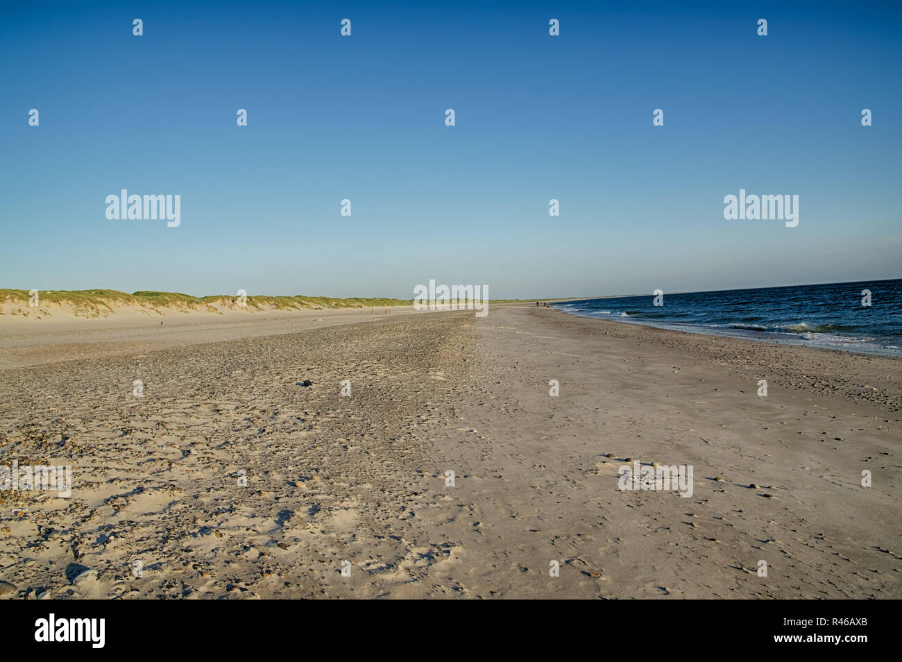 summer beach on denmark's north sea coast Stock Photo - Alamy