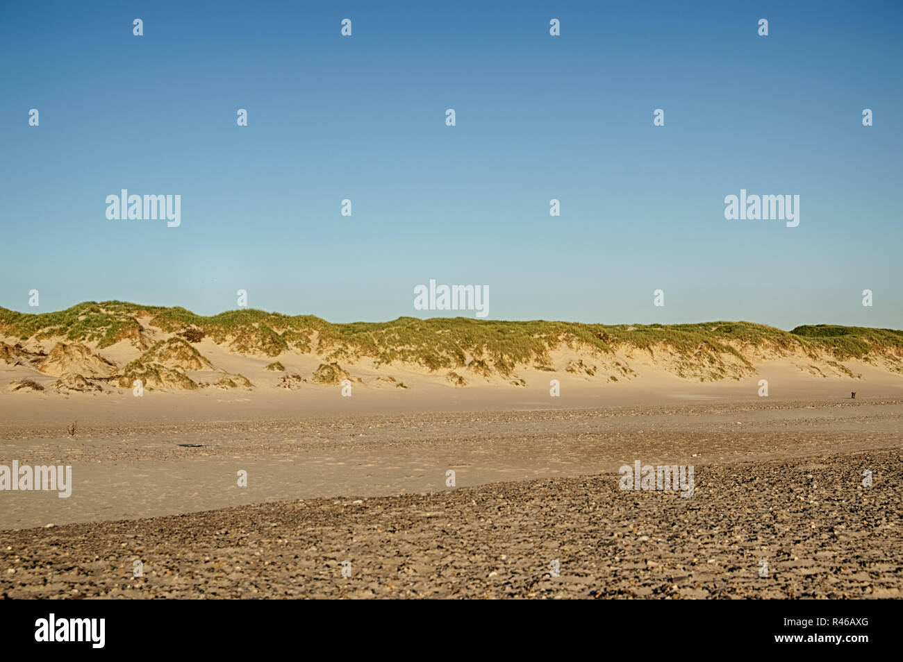 summer beach on denmark's north sea coast Stock Photo - Alamy