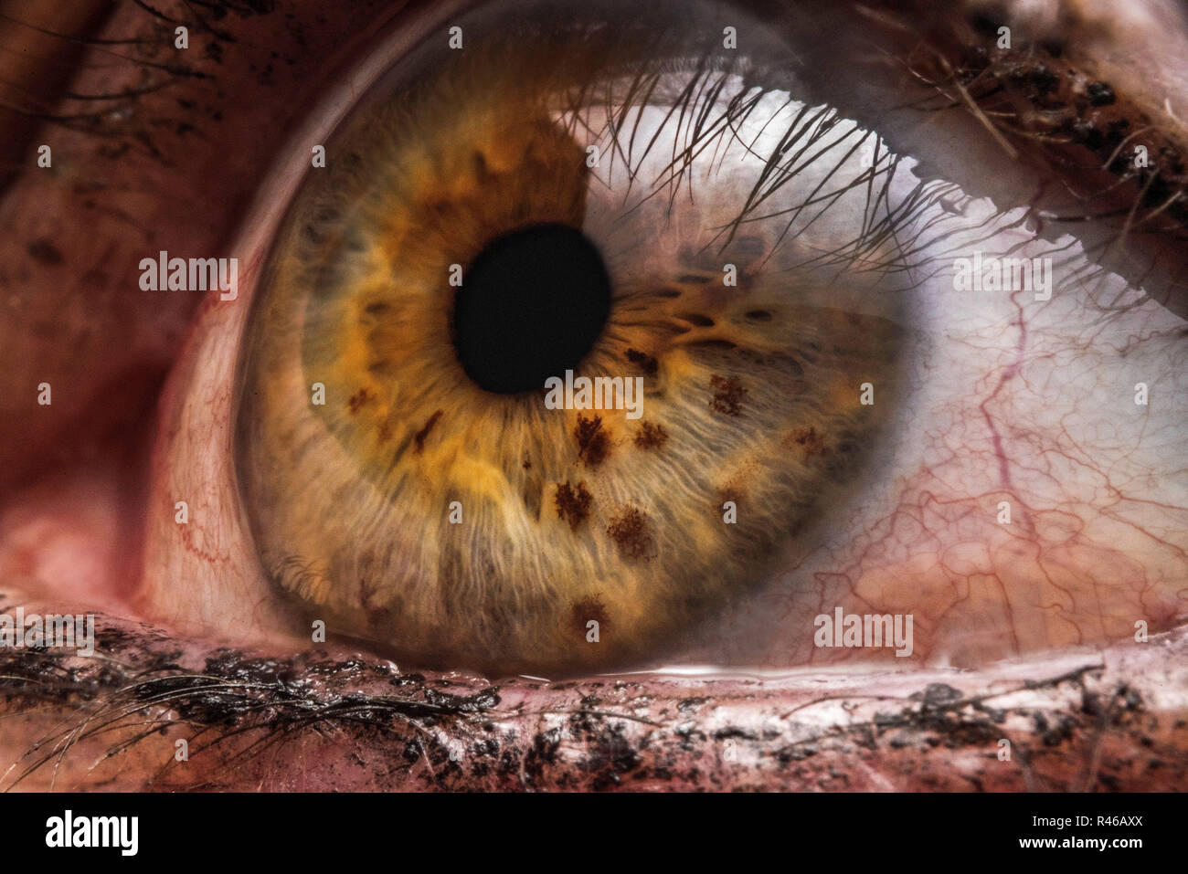 Ojo humano hi-res stock photography and images - Alamy