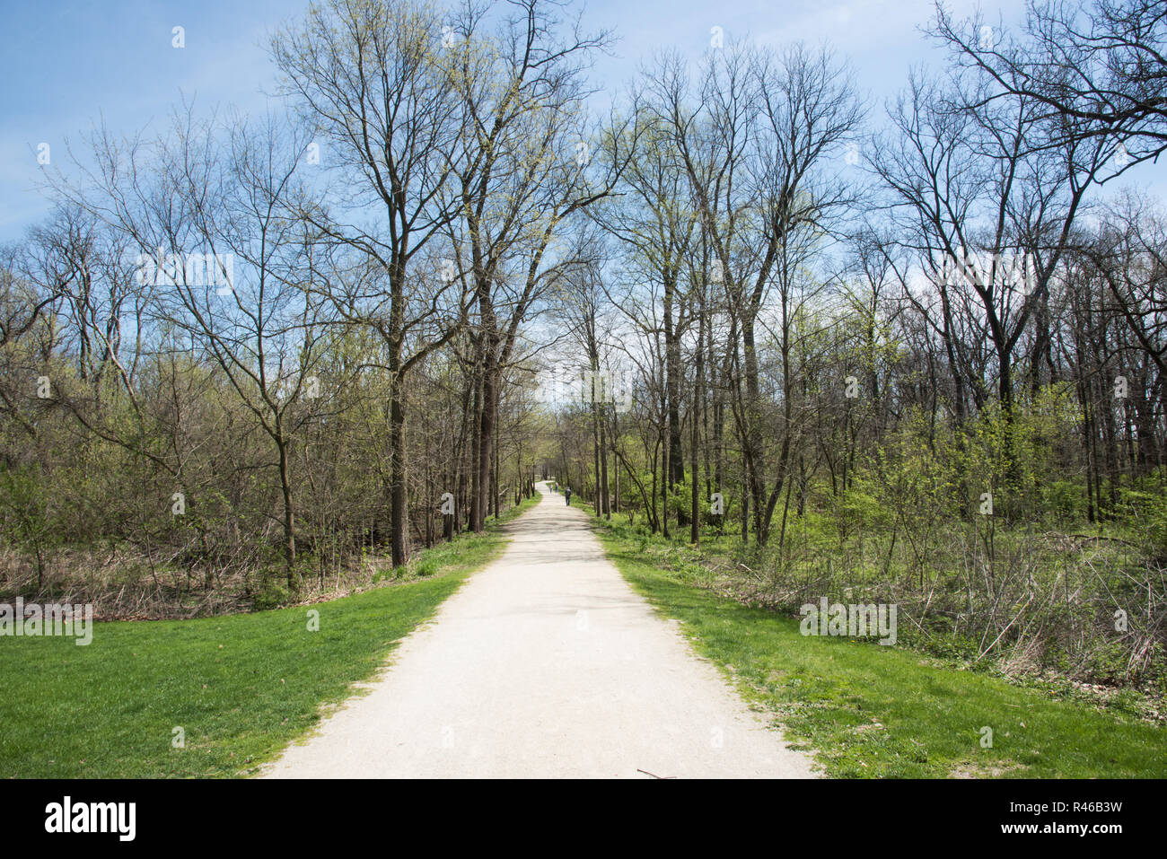 White, tree-lined trail through forest at the McDowell Grove Preserve ...