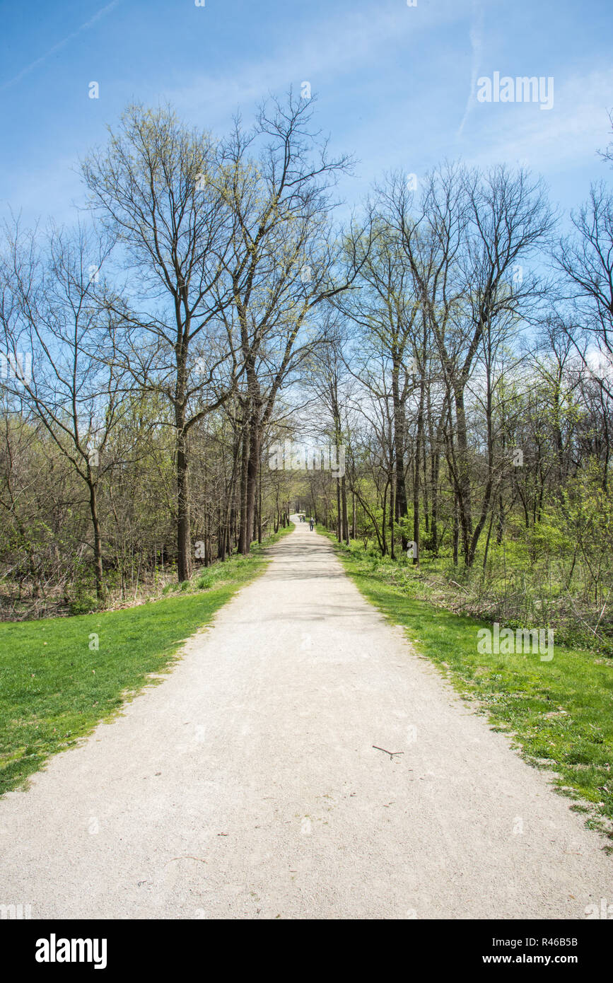 White, tree-lined trail through forest at the McDowell Grove Preserve ...