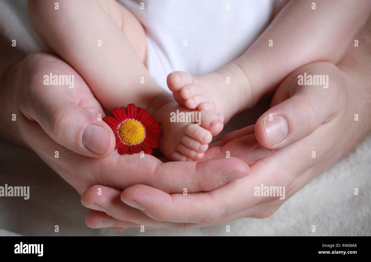 Aye aye hand hi-res stock photography and images - Alamy