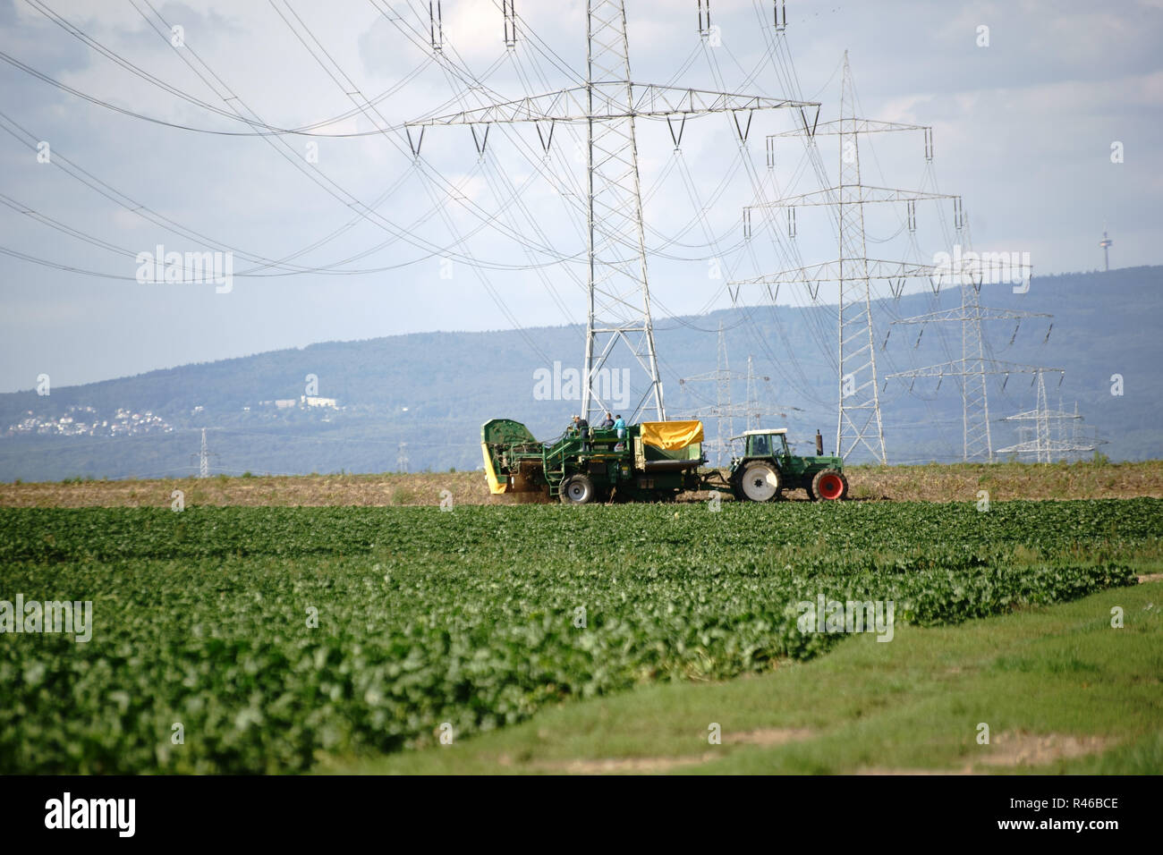 Transport potato hi-res stock photography and images - Alamy