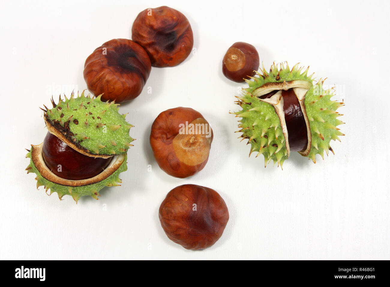 chestnuts with and without shells,white background Stock Photo - Alamy