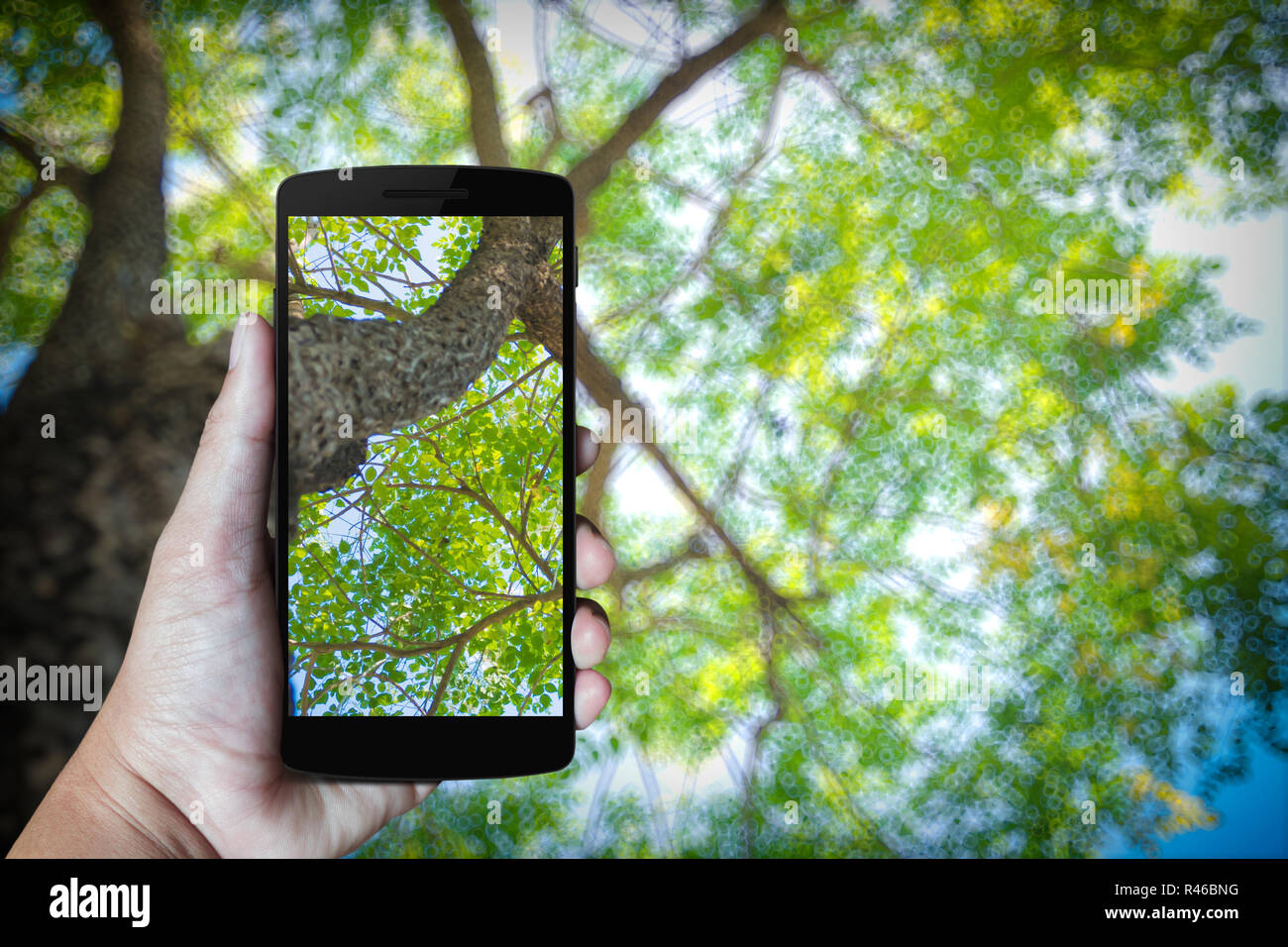 Modern mobile phone in the hand Stock Photo - Alamy