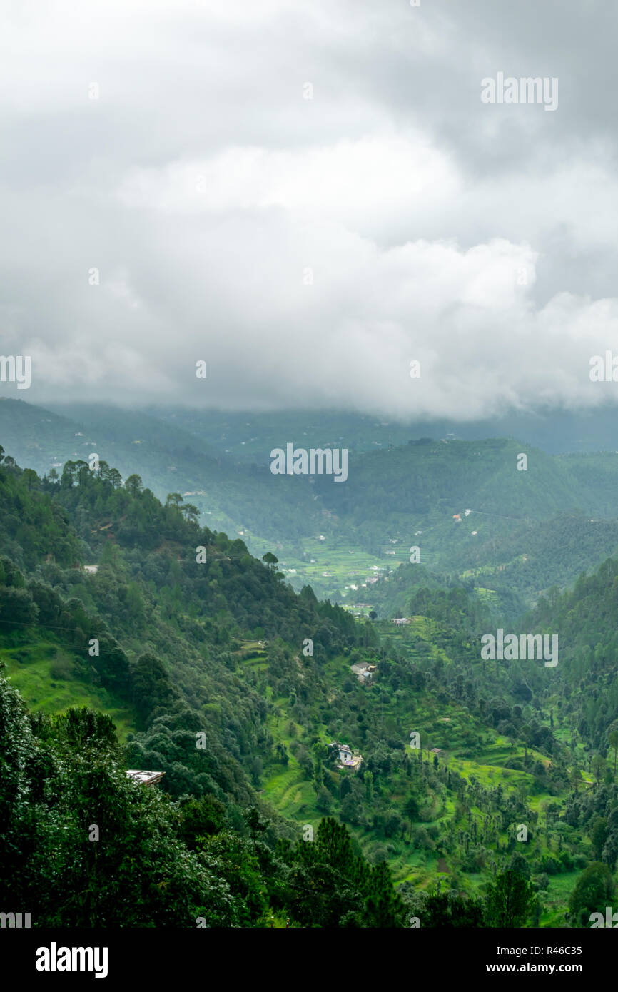Binsar forest sanctuary uttarakhand hi-res stock photography and images ...