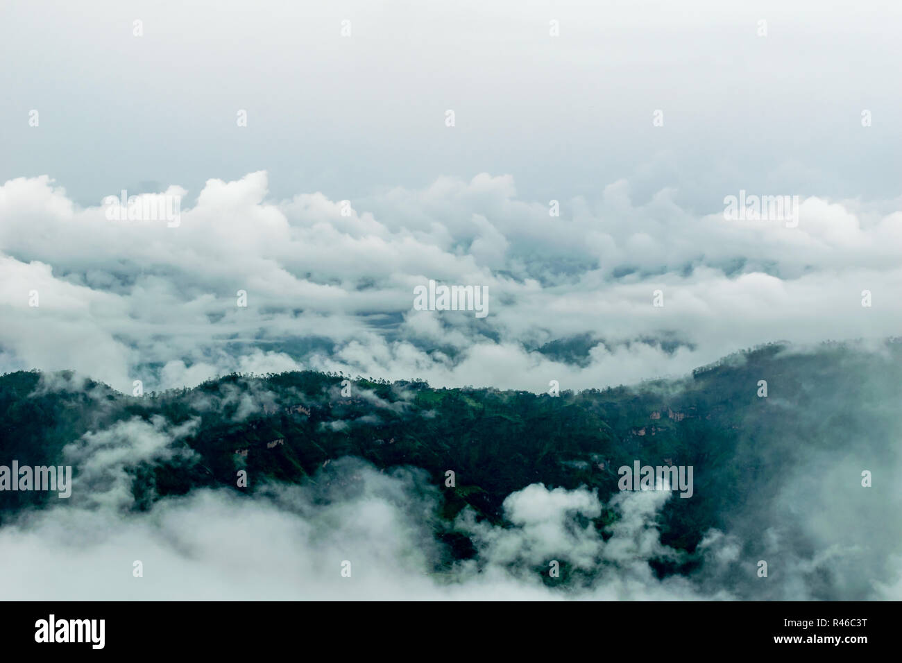 Binsar forest sanctuary uttarakhand hi-res stock photography and images ...