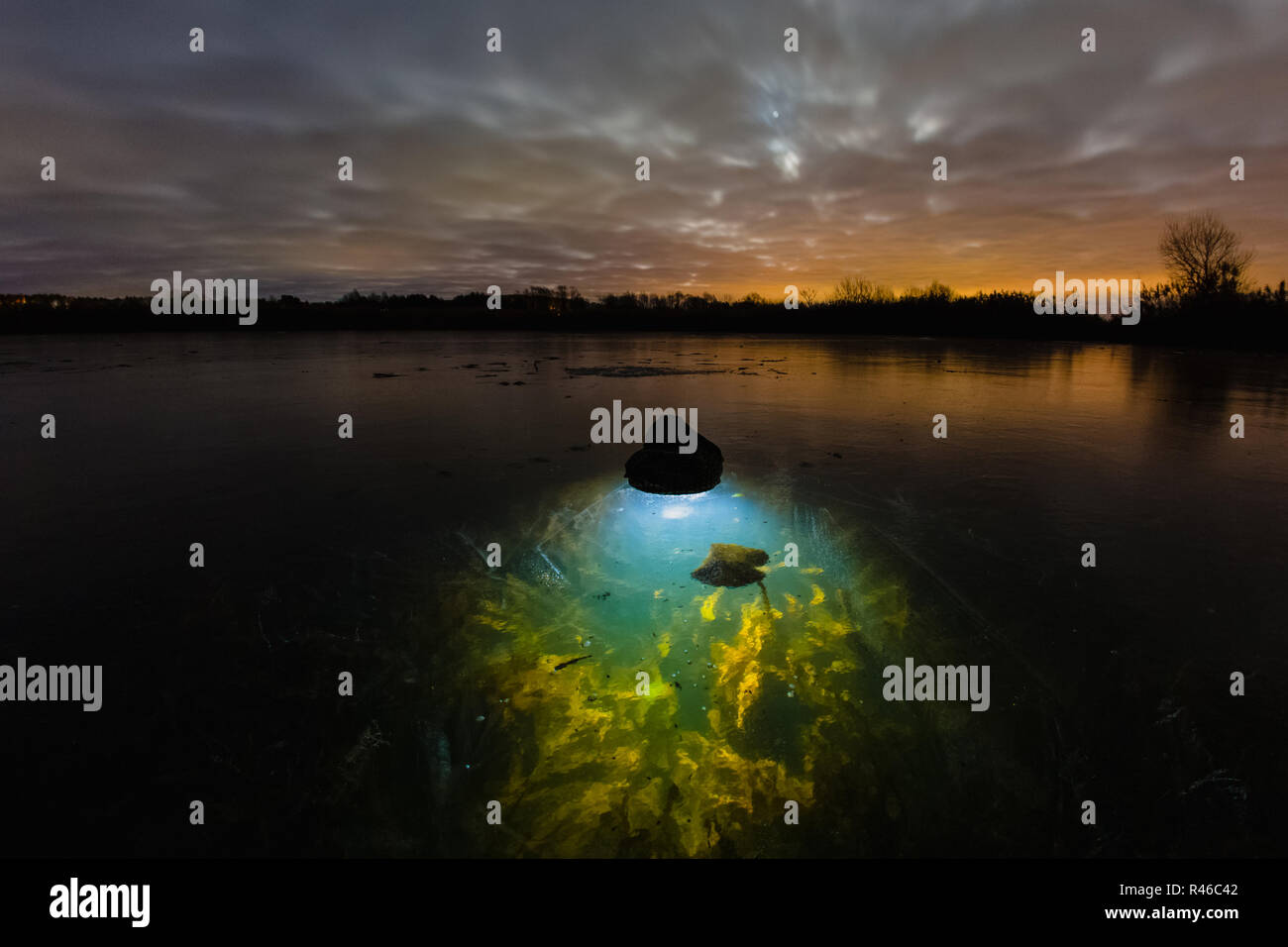 Still life with underwater plant under surface of frozen lake Stock ...