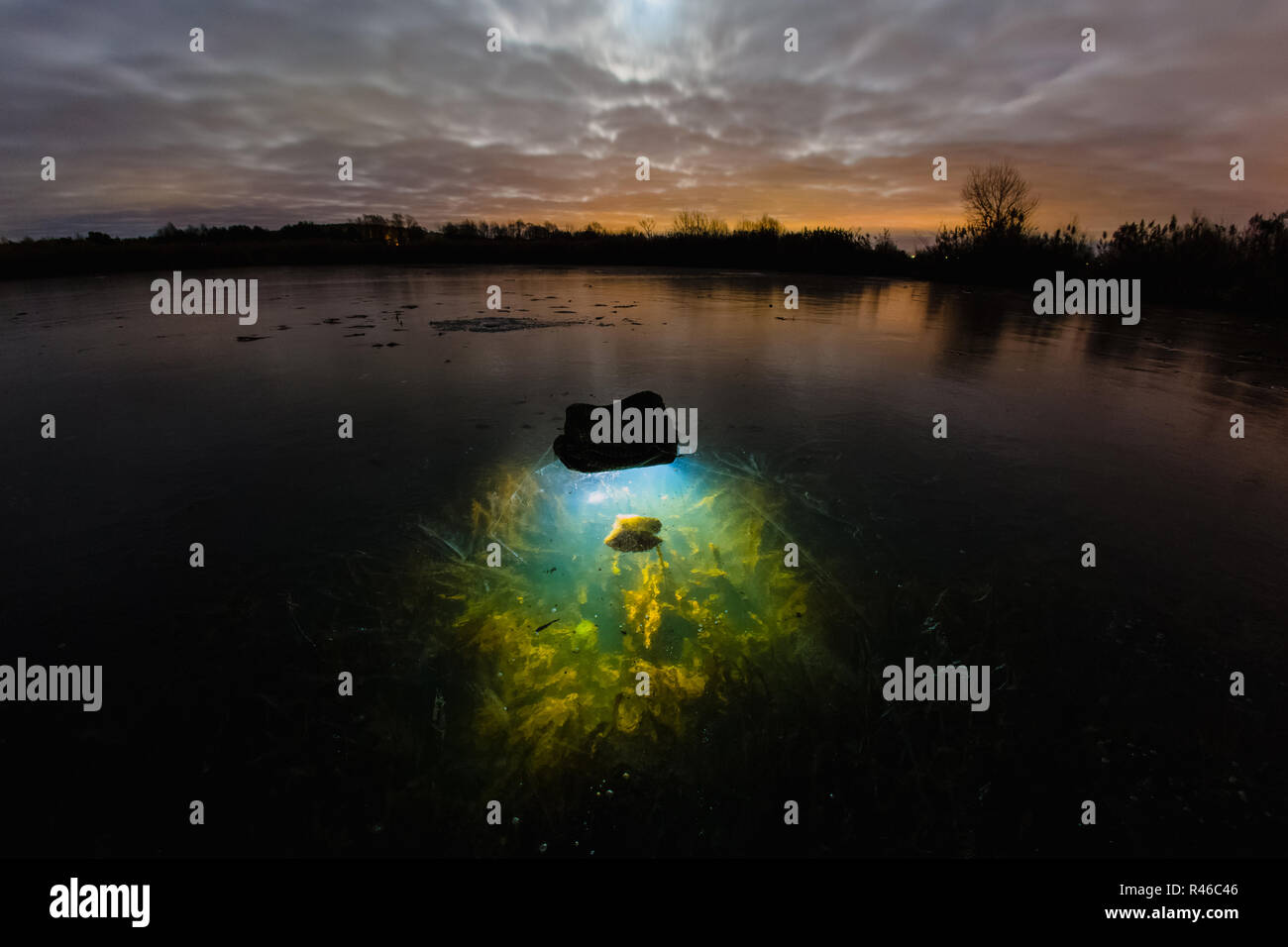 Still life with underwater plant under surface of frozen lake Stock ...