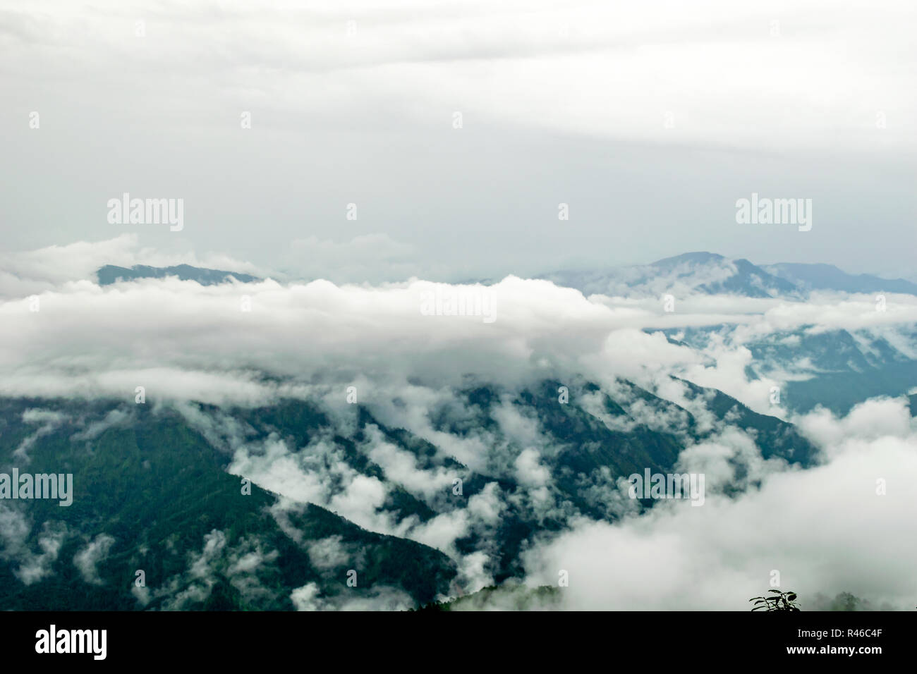 Binsar forest sanctuary uttarakhand hi-res stock photography and images ...