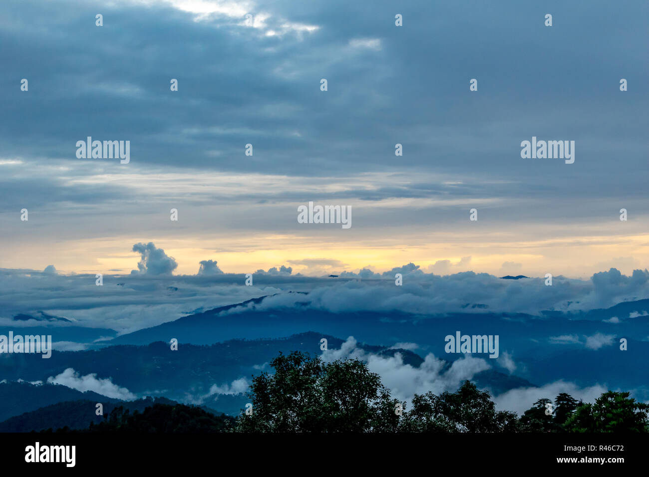 Binsar forest sanctuary uttarakhand hi-res stock photography and images ...