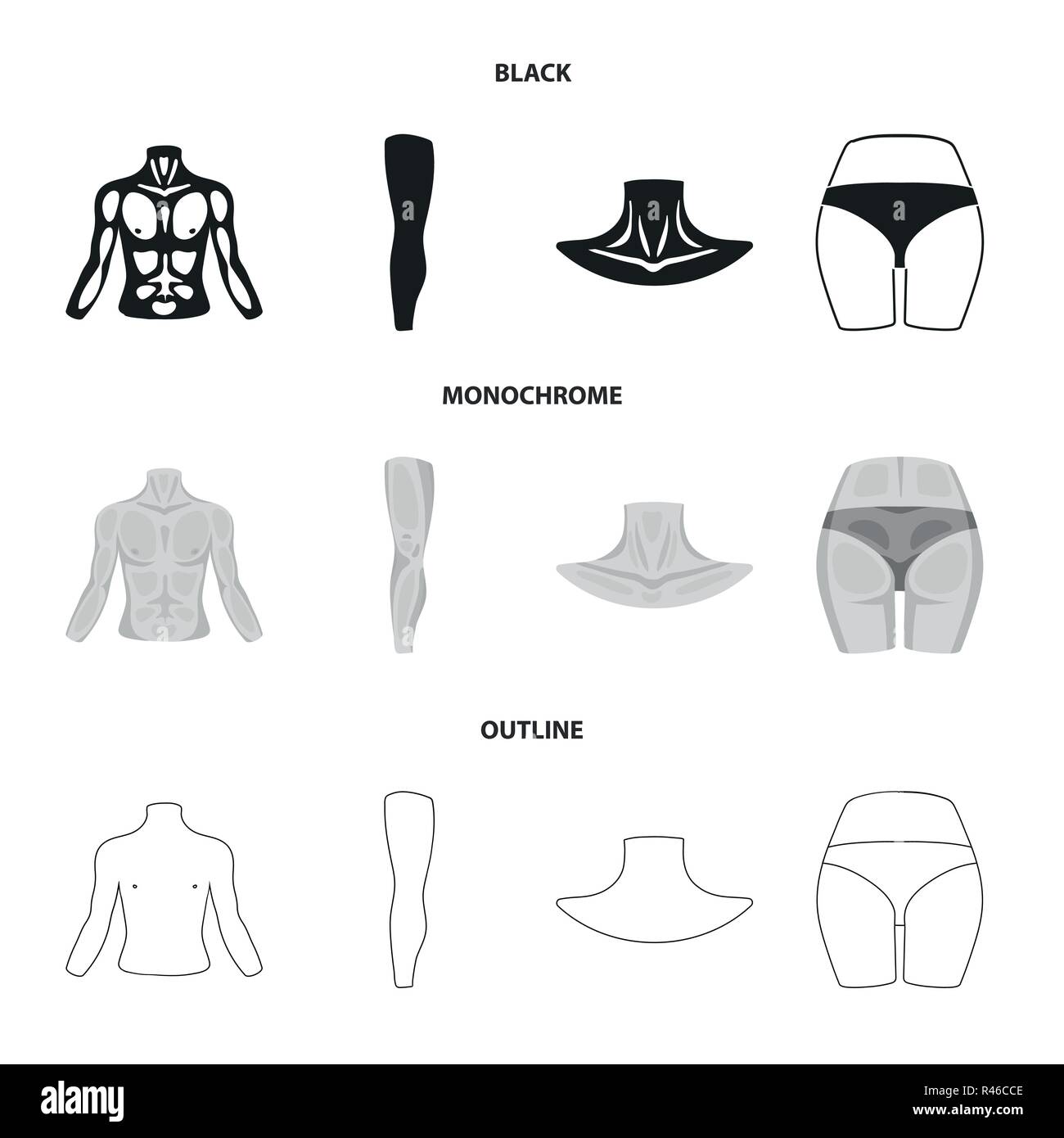 Torso, leg, neck and buttocks. Body parts set collection icons in black ...