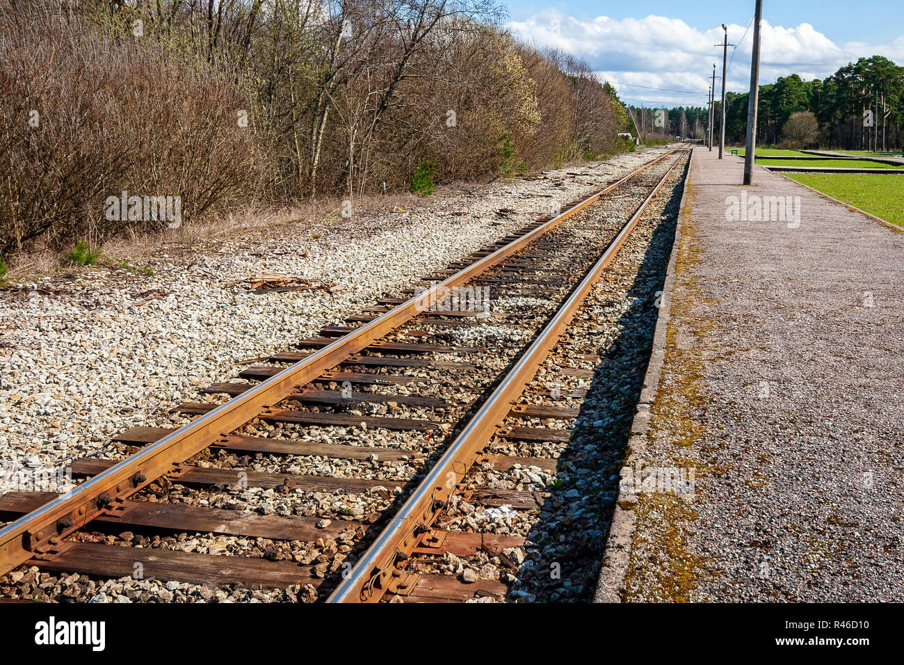 railroad tracks and ground details in summer Stock Photo - Alamy