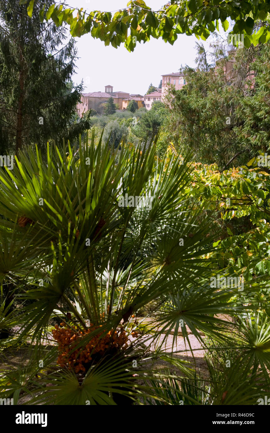 Centro storico di siena hi-res stock photography and images - Alamy
