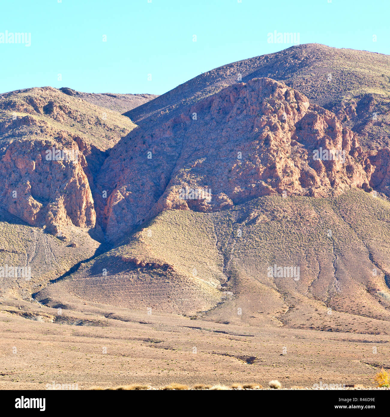 bush in valley morocco africa the atlas dry mountain Stock Photo - Alamy