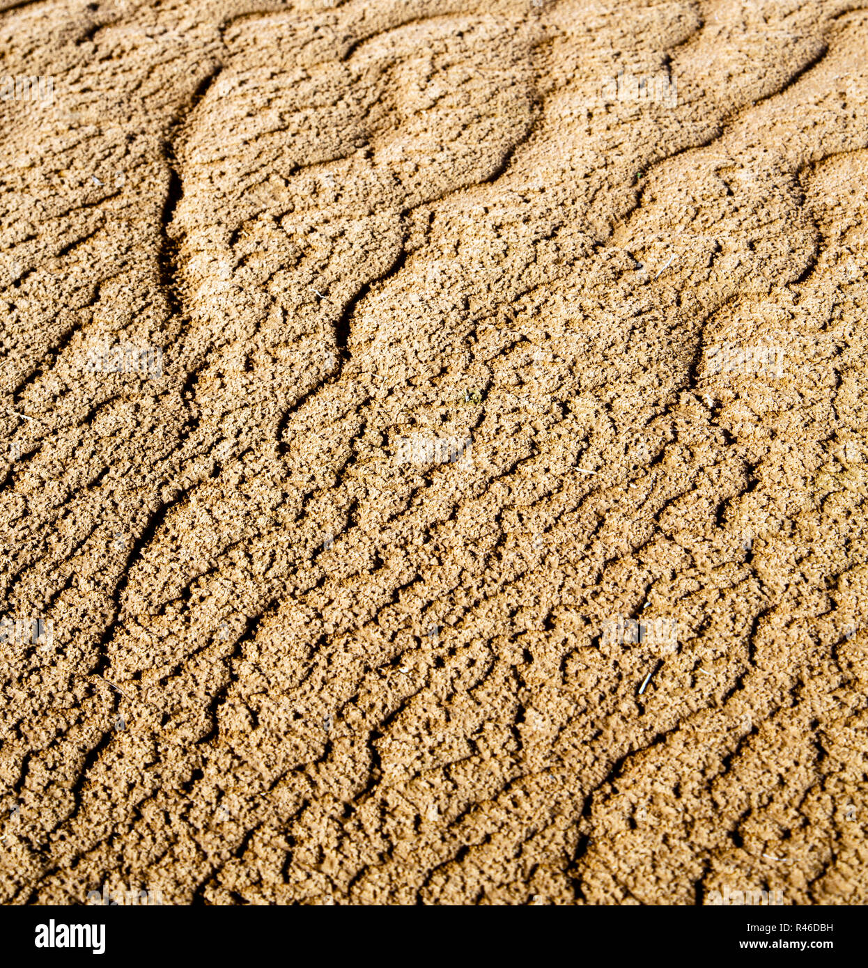 the brown sand dune in the sahara morocco desert Stock Photo - Alamy