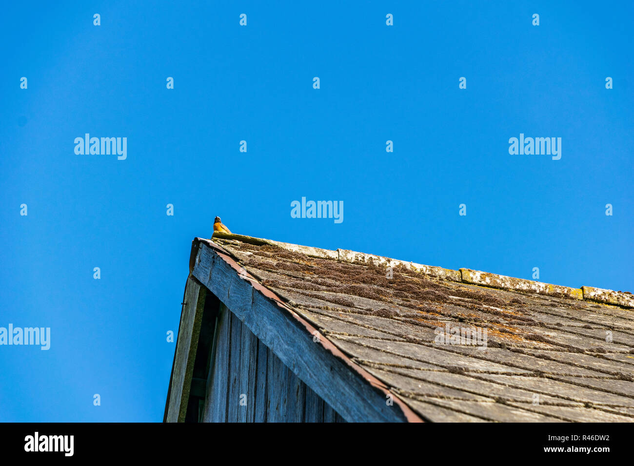 country house roof top with chimney on blue sky background Stock Photo ...