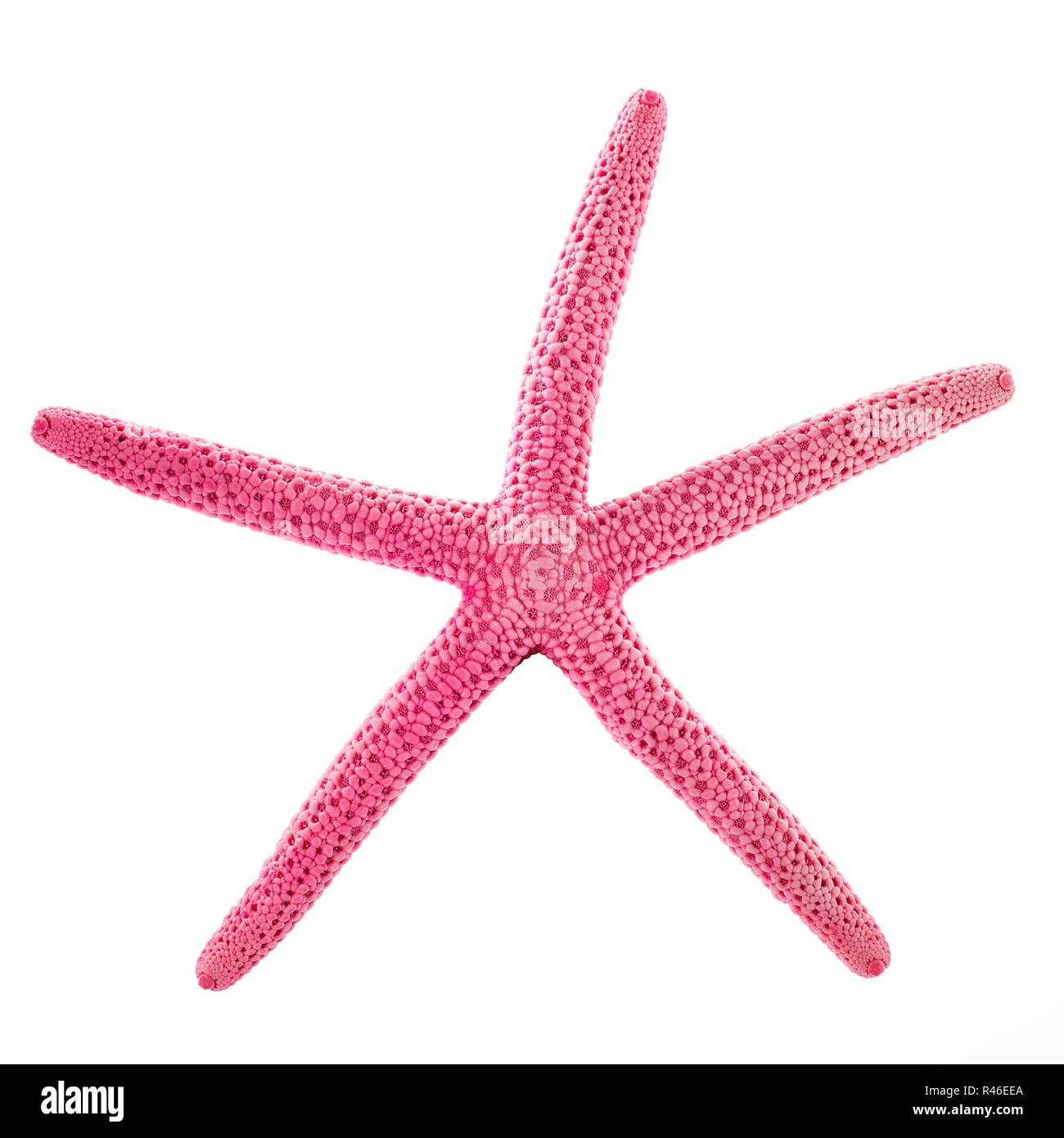 Starfish figure Cut Out Stock Images & Pictures - Alamy