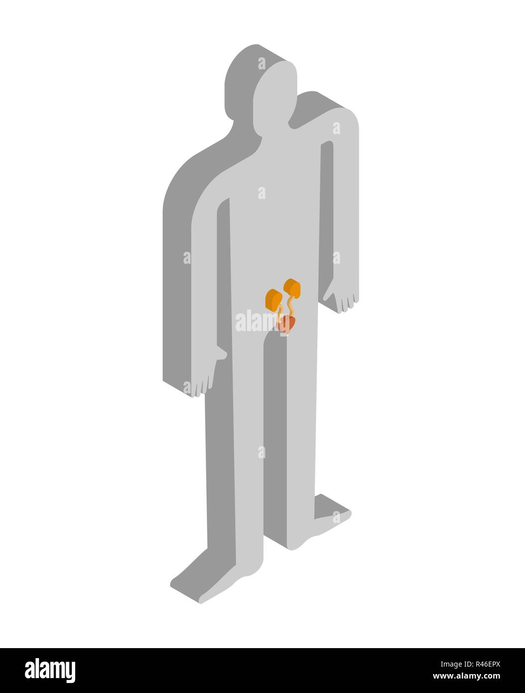 Internal organ layout Stock Vector Images - Alamy