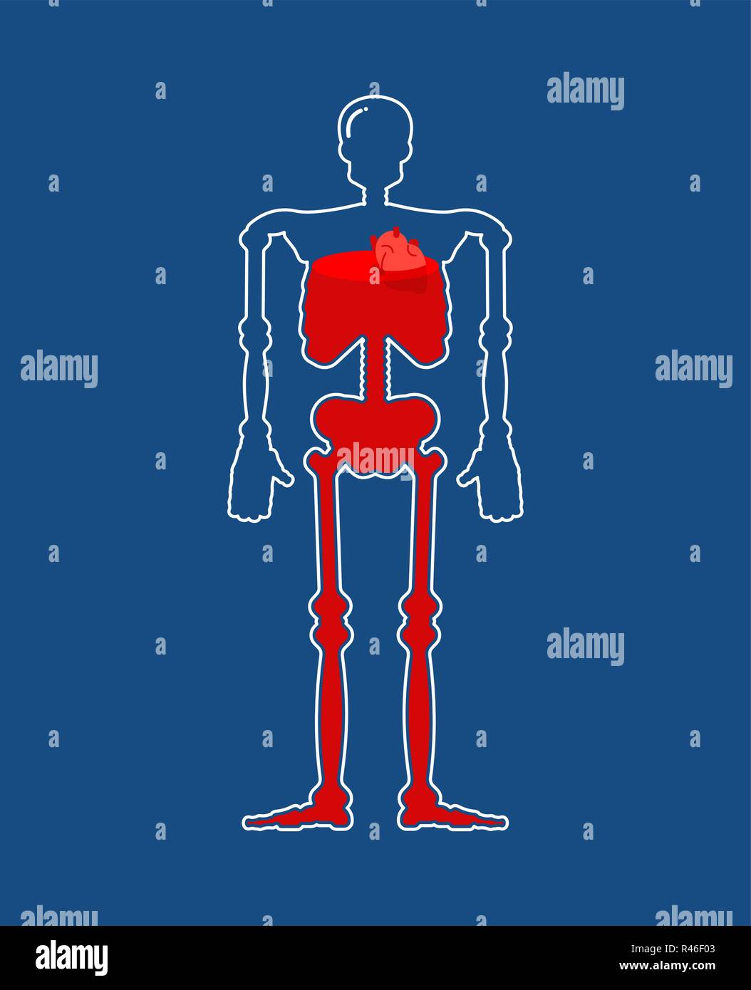 Transparent glass Skeleton and Blood. Body bottle inside Red liquid ...