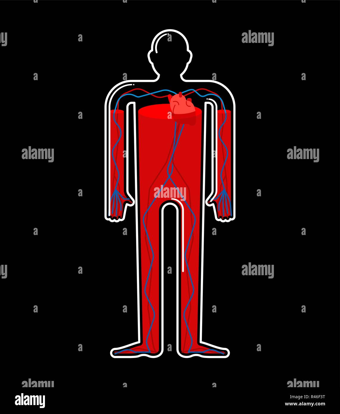 Vector image for heart inside the body hi-res stock photography and ...