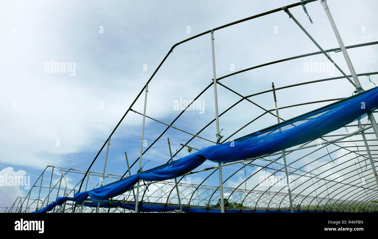 farm in Japan countryside Stock Photo - Alamy
